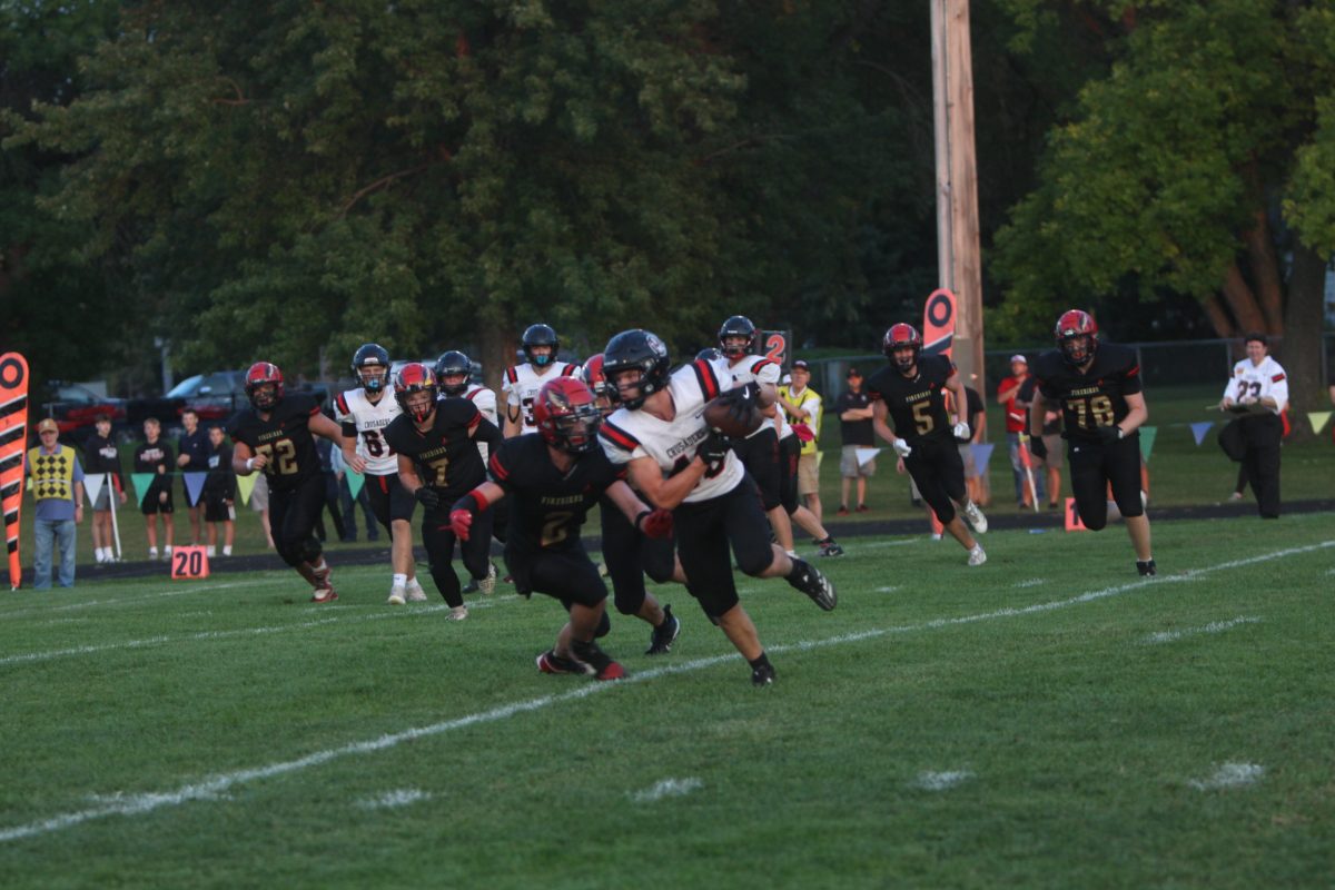 Firebirds take care of business in 20-0 win over Mayer Lutheran ...